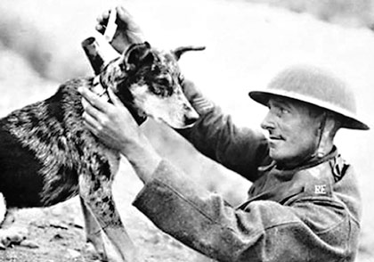March 13, 1942 US Canine Corps – Historical Easter Eggs – Today in History