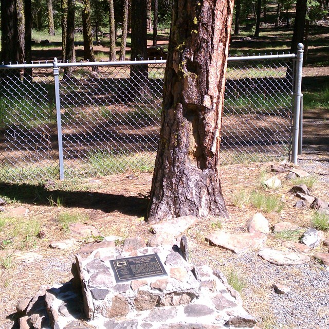 Japanese balloon bomb shrapnel tree – Historical Easter Eggs – Today in ...