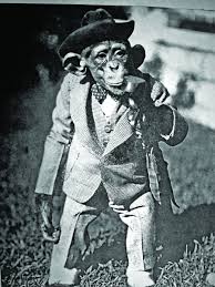 July 21, 1925 Monkey Trial – Historical Easter Eggs – Today in History