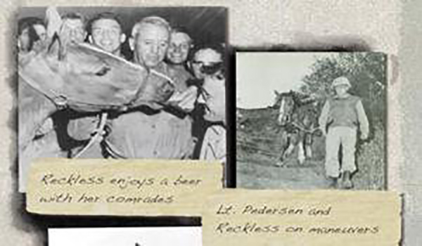 August 31, 1959 Sergeant Reckless – Historical Easter Eggs – Today in ...