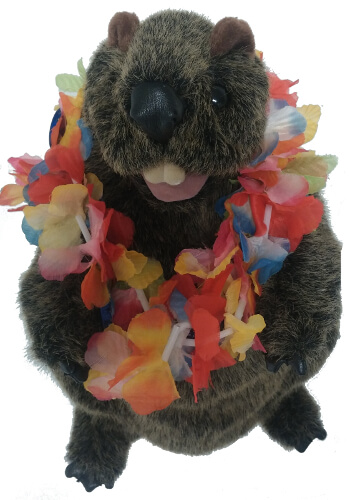 February 3, 1887 Happy Groundhog Day – Historical Easter Eggs – Today ...