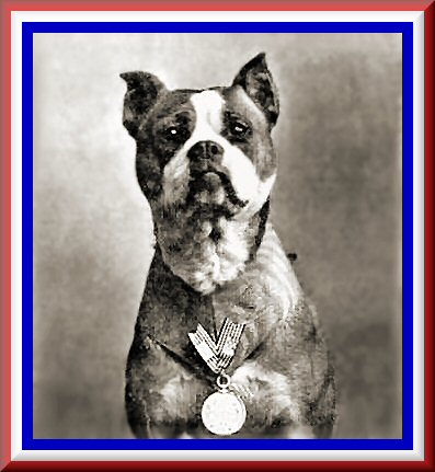 April 4, 1926 Sergeant Stubby – Historical Easter Eggs – Today in History
