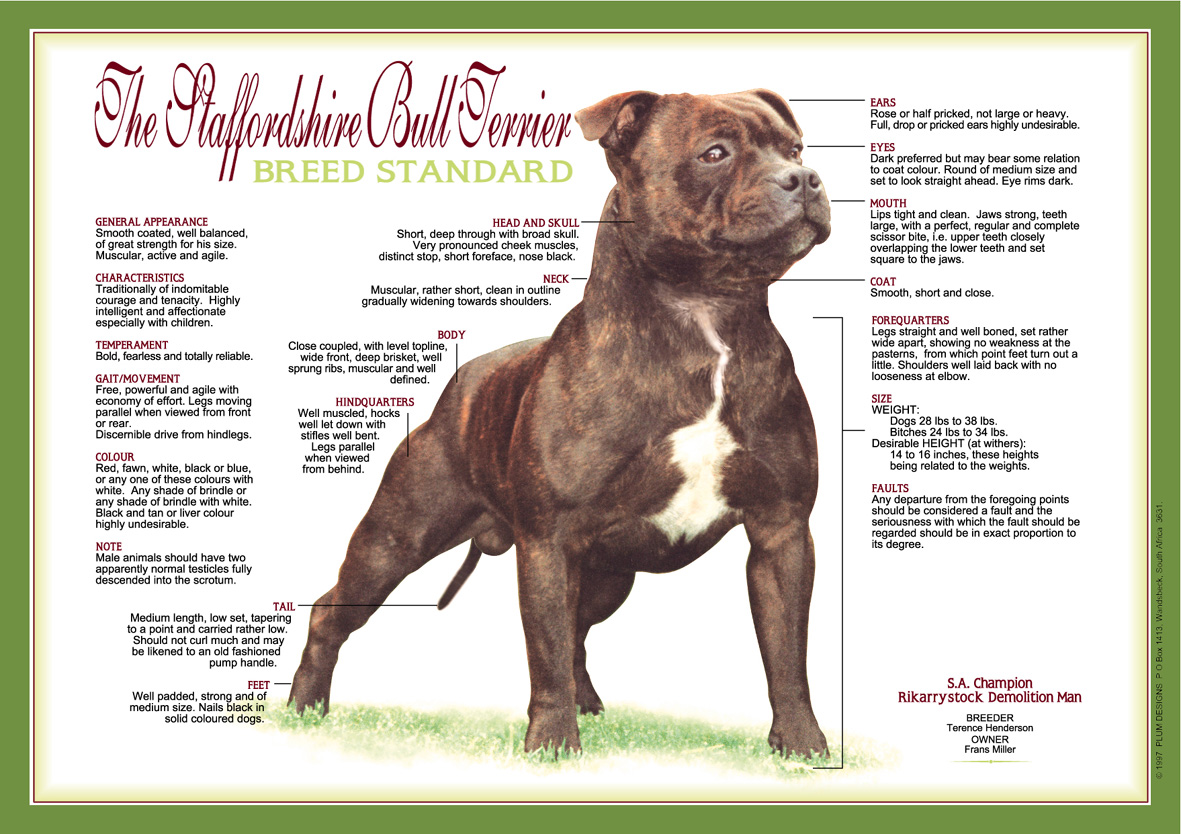 Breed Standard – Historical Easter Eggs – Today in History