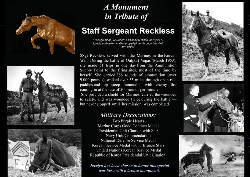 August 31, 1959 Sgt. Reckless – Historical Easter Eggs – Today in History