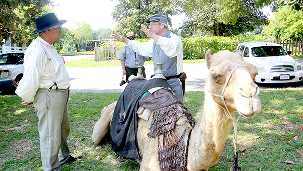 September 19, 1862 Douglas the Confederate Camel – Historical Easter ...