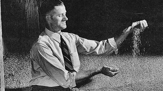 January 18, 1943 Chickenfeed – Historical Easter Eggs – Today in History