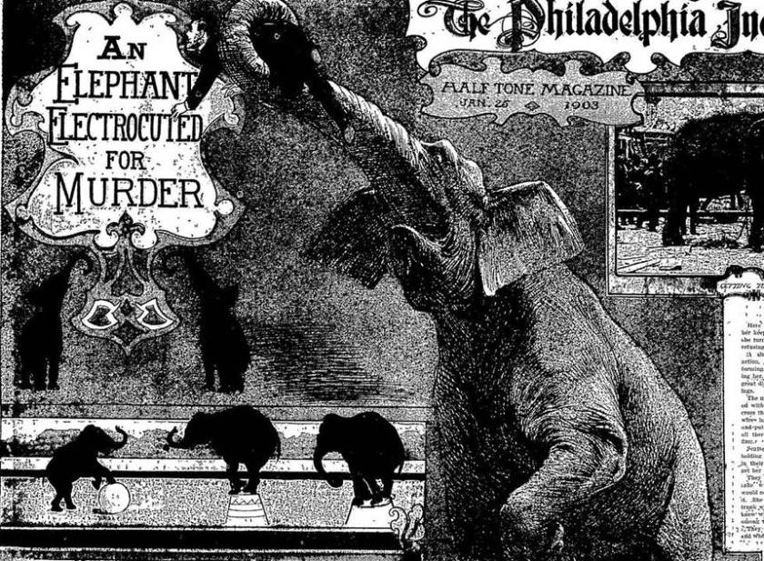 January 4, 1903 Electrocuting an Elephant – Historical Easter Eggs ...