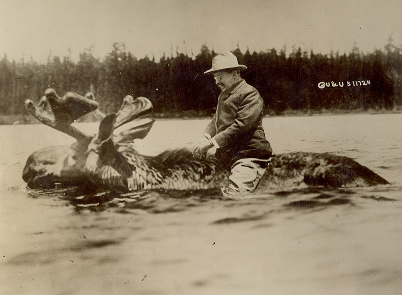 October 14, 1912 To Kill a Bull Moose – Historical Easter Eggs – Today ...