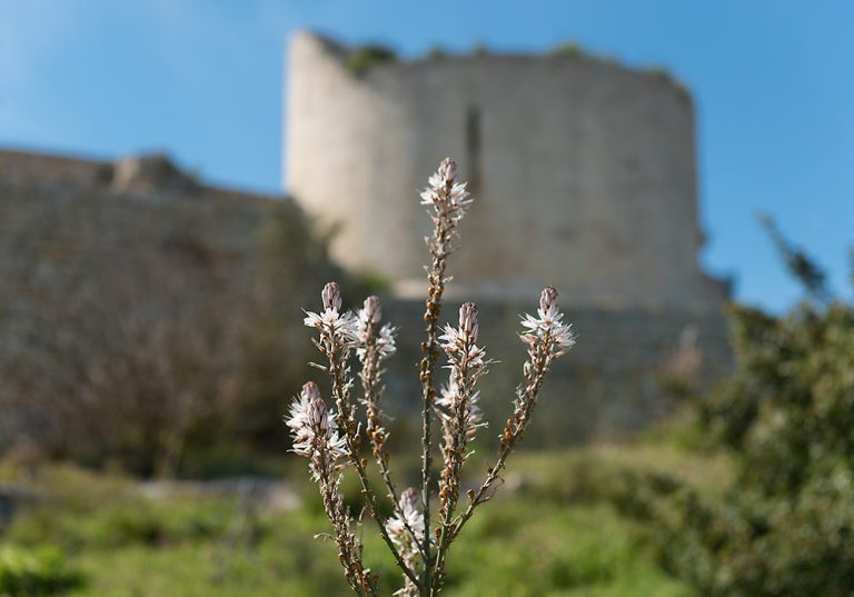 January 11, 1693 Feeling Puny? – Historical Easter Eggs – Today in History