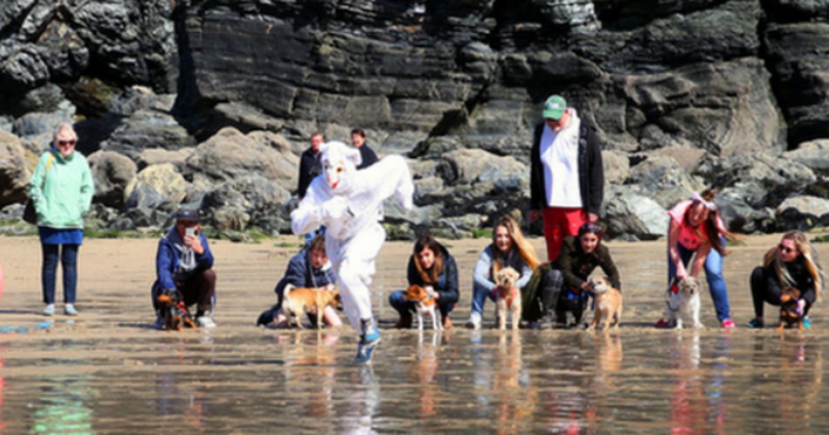 April 1, 1889 The Weird Side of Easter – Historical Easter Eggs – Today ...