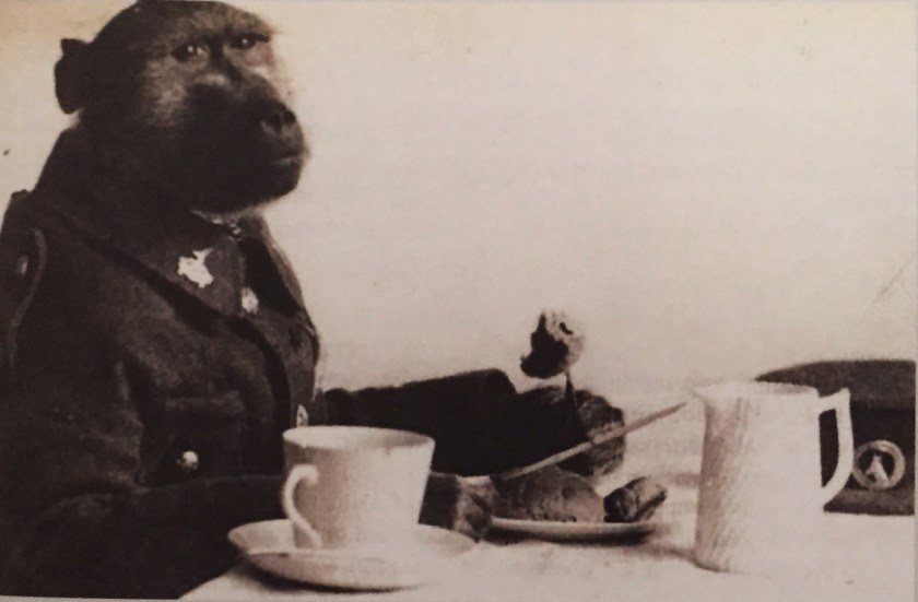 July 31, 1920 Jackie – Historical Easter Eggs – Today in History
