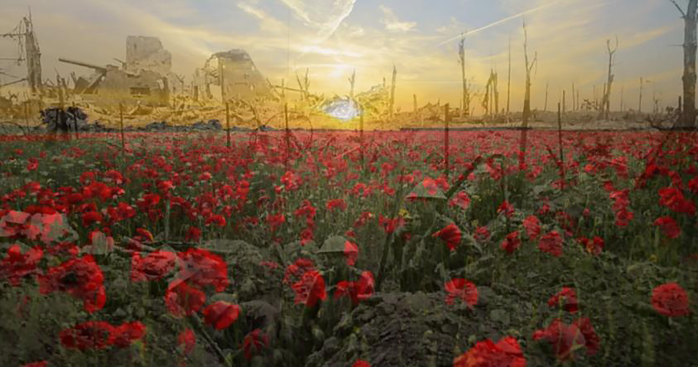 Poppies in trenches R – Historical Easter Eggs – Today in History