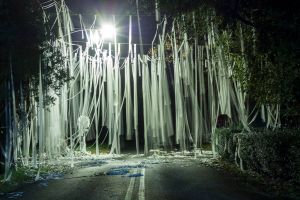 October 30, 1892 Cabbage Night – Historical Easter Eggs – Today in History